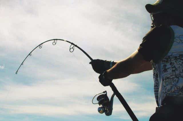 「折れちゃう！竿折れちゃう！！」釣り人が選ぶ引きの強い魚TOP5！ | TSURI HACK[釣りハック]