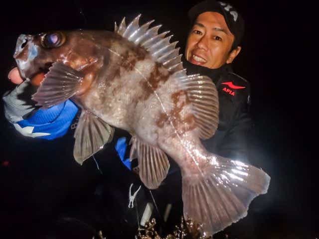 知多半島で25アップのメバルが連発！今年の釣果は絶好調【愛知県/衣浦・知多レポートVol.7】 | TSURI HACK[釣りハック]