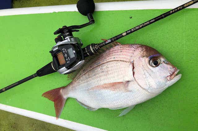 アブガルシア初カウンター付きリール『MAX DLC』！デカ文字カウンター&簡単操作 | TSURI HACK[釣りハック]