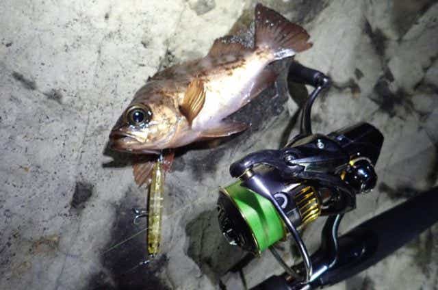 リールマニアがおすすめ！中古で狙い目の名作スピニングリール2020 | TSURI HACK[釣りハック]