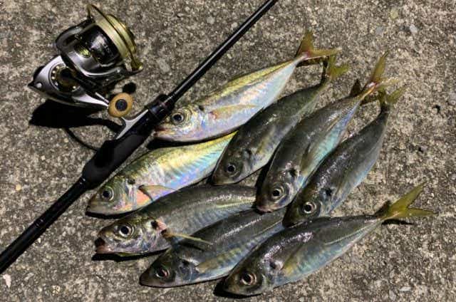 【2023年1月】Amazonで売れ筋のアジングロッド10選 | TSURI HACK[釣りハック]