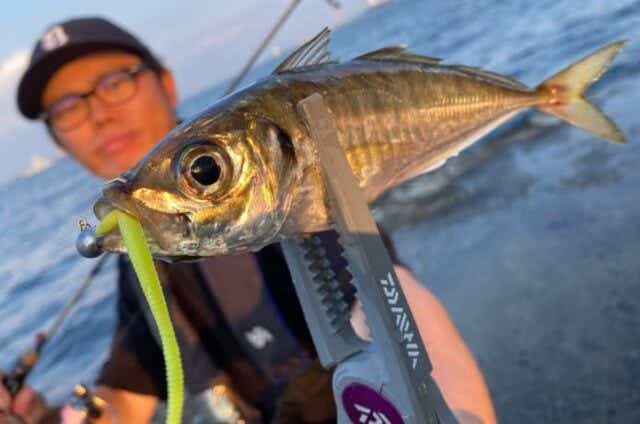 100均アイテムでイケてるリールスタンドを自作する方法！誰でも簡単な手順です | TSURI HACK[釣りハック]