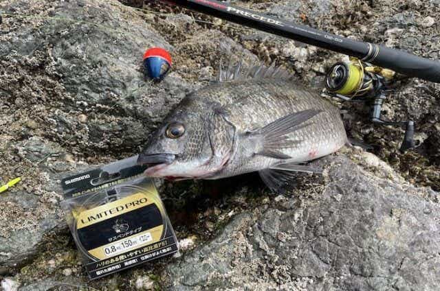 PEラインでフカセ釣りをするメリットとは？磯で検証してみた | 【TSURI HACK】日本最大級の釣りマガジン - 釣りハック