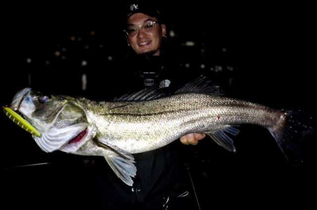 シーバスのナイトゲームはこう釣れ！春夏秋冬のナイト攻略テクをプロが指南！ | 【TSURI HACK】日本最大級の釣りマガジン - 釣りハック