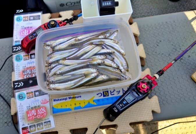 「クリスティアワカサギ」総まとめ！穂先とリール全モデルを解説 | 【TSURI HACK】日本最大級の釣りマガジン - 釣りハック