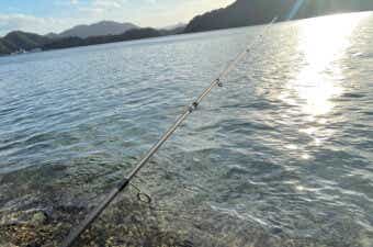 鯵道5Gを実釣インプレ。「コスパ最強」との噂を徹底検証 | TSURI HACK[釣りハック]