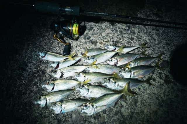 小アジの賢い食べ方。極上のおすすめレシピ4選 | TSURI HACK[釣りハック]