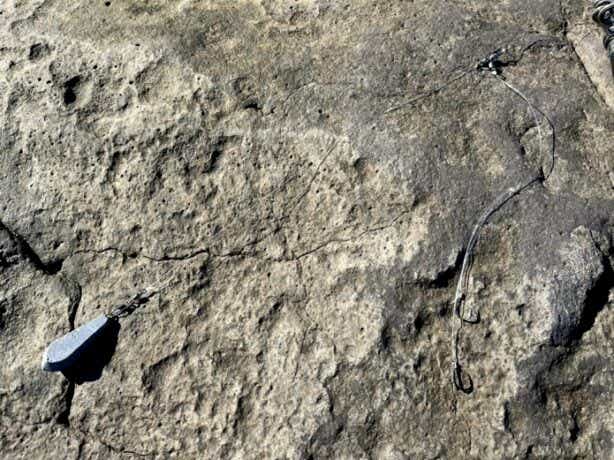 業務スーパーで買った〇〇を投げたら爆釣した件 | TSURI HACK[釣りハック]