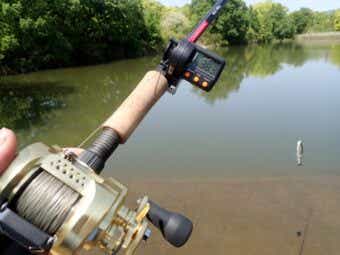 23カルカッタコンクエストMDをインプレ！対モンスター用の丸型フラッグシップの実力は？ | TSURI HACK[釣りハック]