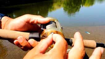 23カルカッタコンクエストMDをインプレ！対モンスター用の丸型フラッグシップの実力は？ | TSURI HACK[釣りハック]