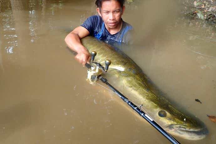 23カルカッタコンクエストMDをインプレ！対モンスター用の丸型フラッグシップの実力は？ | TSURI HACK[釣りハック]