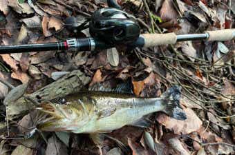 23アンタレスDCMDをインプレ。飛距離とブレーキ設定を徹底検証 | TSURI HACK[釣りハック]