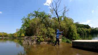 23カルカッタコンクエストMDをインプレ！対モンスター用の丸型フラッグシップの実力は？ | TSURI HACK[釣りハック]