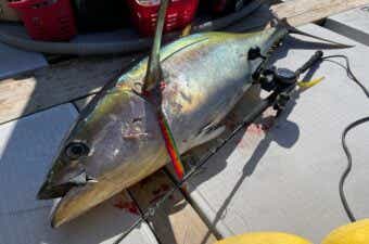 オシアEJを実釣インプレ。“電ジギ専用”は伊達じゃない！ | 【TSURI HACK】日本最大級の釣りマガジン - 釣りハック