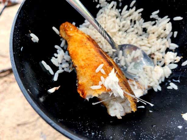 アマゾン川に棲む“マジで美味な魚”Top5 | TSURI HACK[釣りハック]