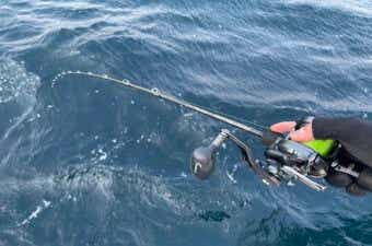 ジャイアントキリング5Gをインプレ。3万円の価値は十分ある！ | TSURI HACK[釣りハック]