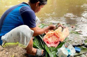 アマゾン川に棲む“マジで美味な魚”Top5 | TSURI HACK[釣りハック]