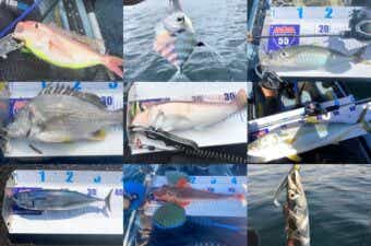 クロスミッションXRをインプレ！ティップにグリップに可変しまくりの超万能ロッドでした | TSURI HACK[釣りハック]