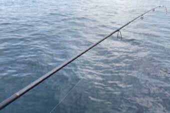 セフィアXRティップエギングをインプレ。手感度の良さが光るロッドでした | TSURI HACK[釣りハック]