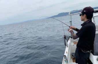 セフィアXRティップエギングをインプレ。手感度の良さが光るロッドでした | TSURI HACK[釣りハック]