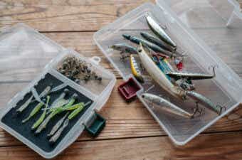 UL（ウルトラライト）フィッシングが「まあ、釣れるんですよ」 | TSURI HACK[釣りハック]