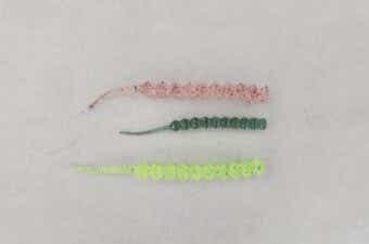 【100均】セリアの8面体ジョイント型ワームをインプレ！爆安なのに釣れる理由とは | TSURI HACK[釣りハック]