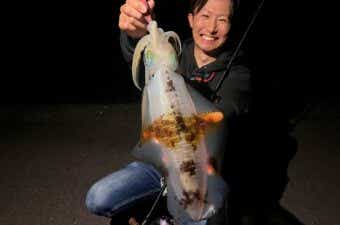 アバニ エギング マックスパワーPE X9をインプレ。アタリが手元に響いてくる！ | TSURI HACK[釣りハック]