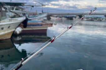 この竿、めっちゃコスパえぇ！タコマスターSSをインプレ | TSURI HACK[釣りハック]