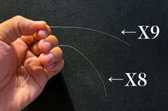 アバニ エギング マックスパワーPE X9をインプレ。アタリが手元に響いてくる！ | TSURI HACK[釣りハック]