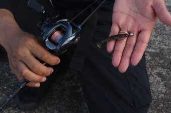 ラグゼ寧音をインプレ。独創的にして合理的、究極のカタチがコレか！？ | TSURI HACK[釣りハック]