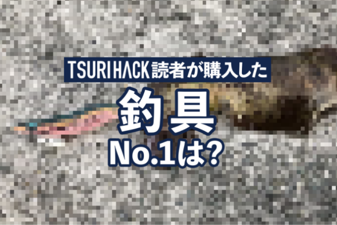 春のエギングシーズン到来…はい、またまたアレが1位です。【2025年3月読者ランキング】 | TSURI HACK[釣りハック]