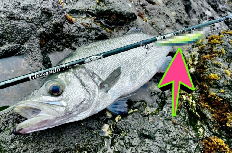 X-80マグナムをインプレ。イチオシカラーも紹介します | TSURI HACK[釣りハック]