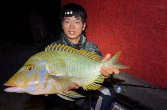 YouTubeでお馴染みの”異次元沖堤防”に行ってみたら…… | TSURI HACK[釣りハック]